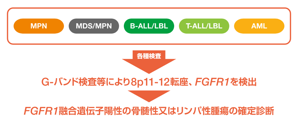 FGFR1融合遺伝子陽性の骨髄性又はリンパ性腫瘍（MLN）の診断 | インサイト・ジャパン 医療関係者向け情報